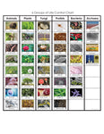 Six Groups of Life Sorting Cards | Fungi, Animals, Bacteria, and more ...